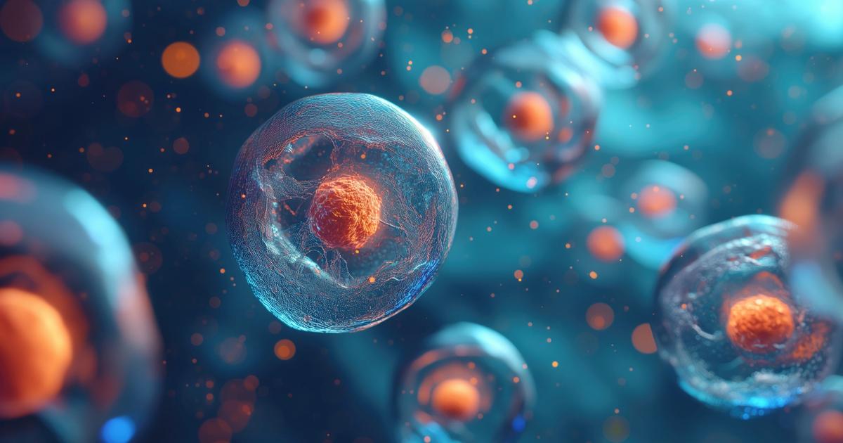 Optimize cell counting efficiency with the right counter ...