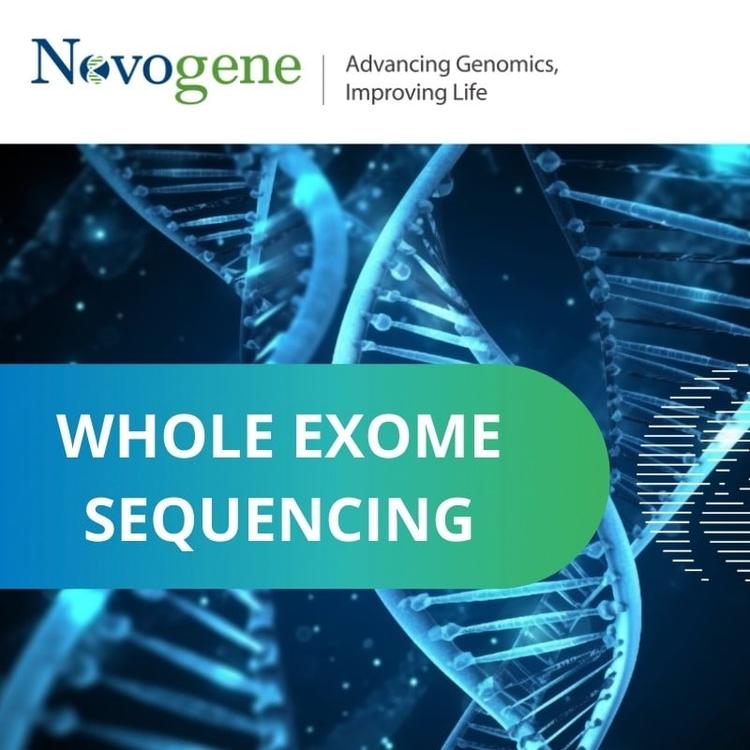 Novogene