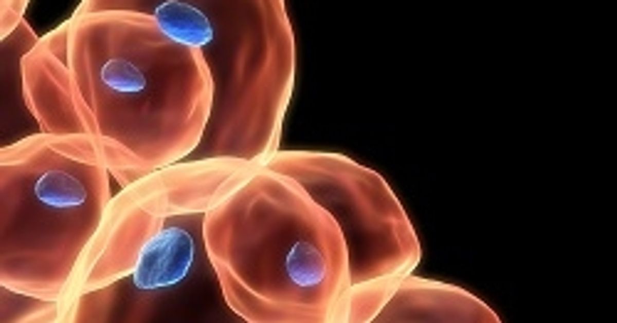 Webinar Highlights: Latest Innovations in Live Cell 3D Imaging with ...