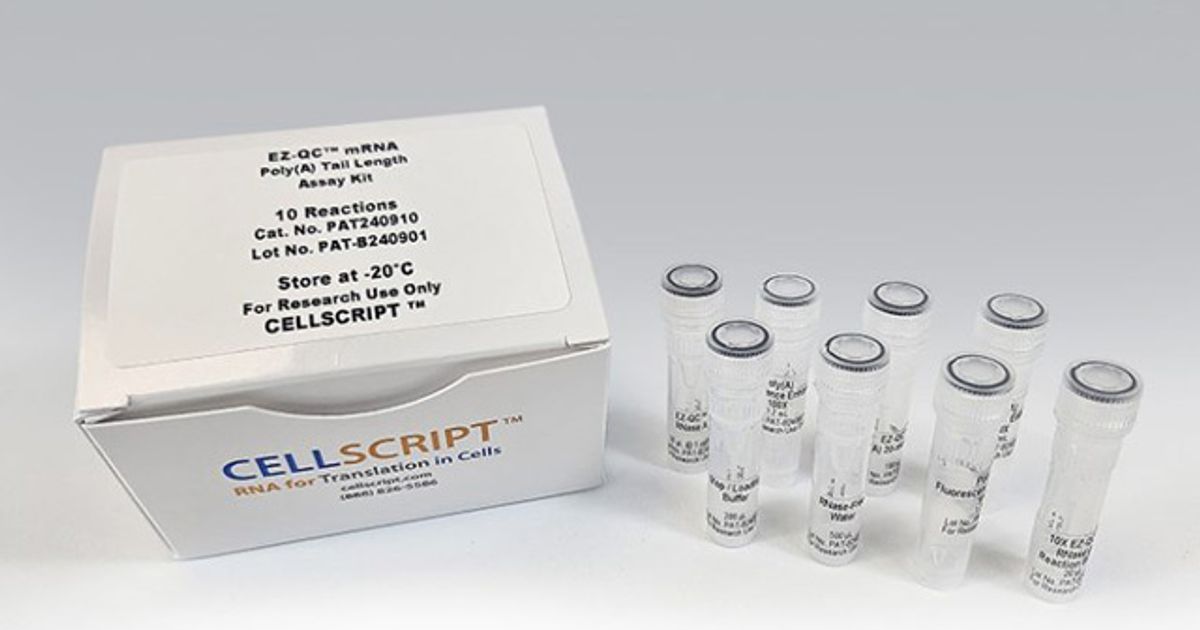 EZ-QC™ mRNA Poly(A) Tail Length Assay Kit reviews