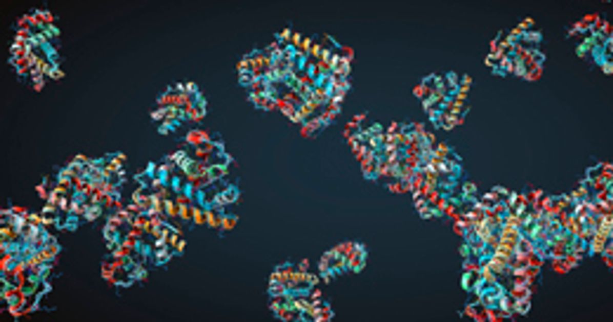 Antibody arrays for biomarker-based therapy personalization