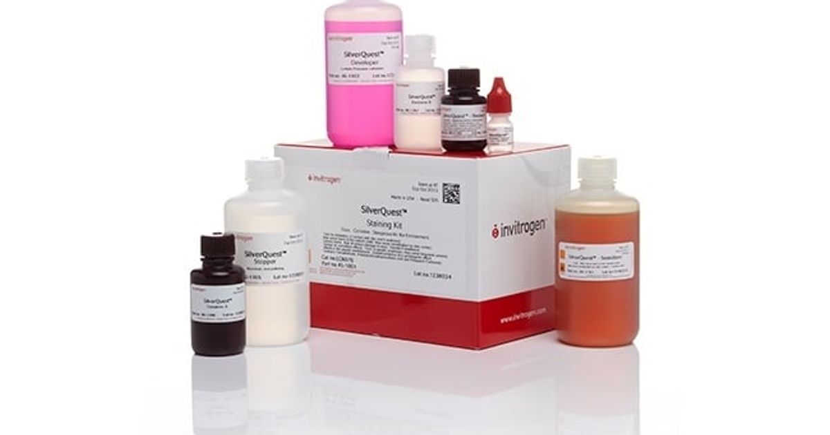 SilverQuest™ Silver Staining Kit reviews