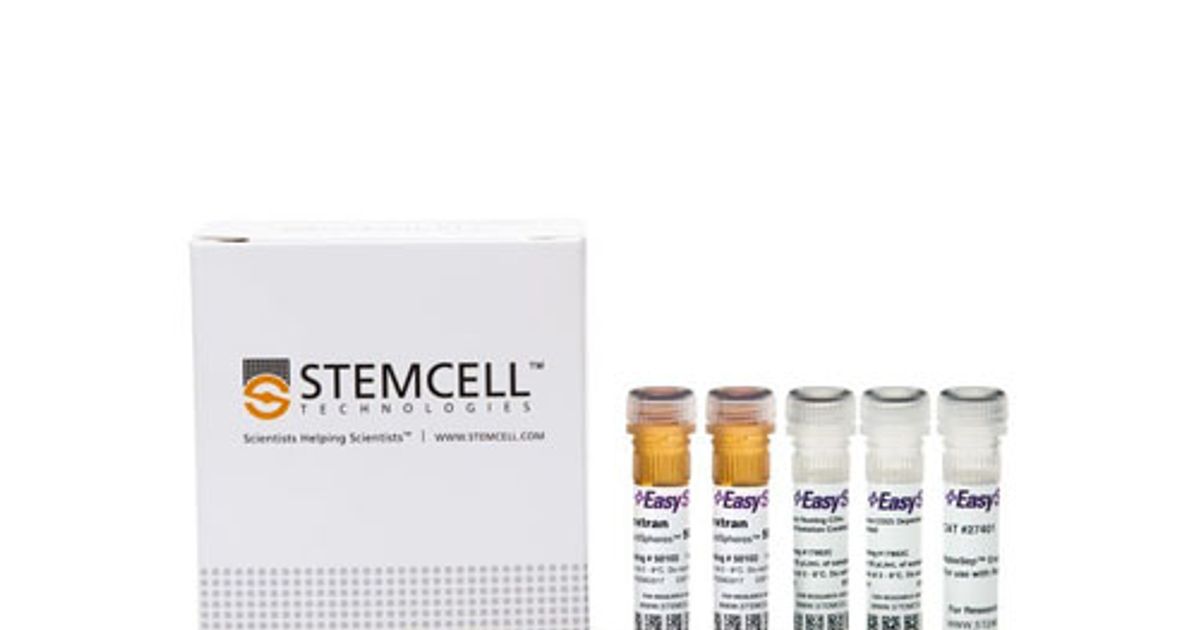 EasySep™ Human Resting CD4+ T Cell Isolation Kit | SelectScience