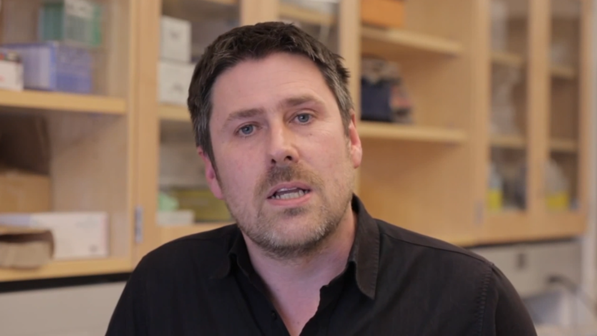 Detecting allergens using mass spectrometry