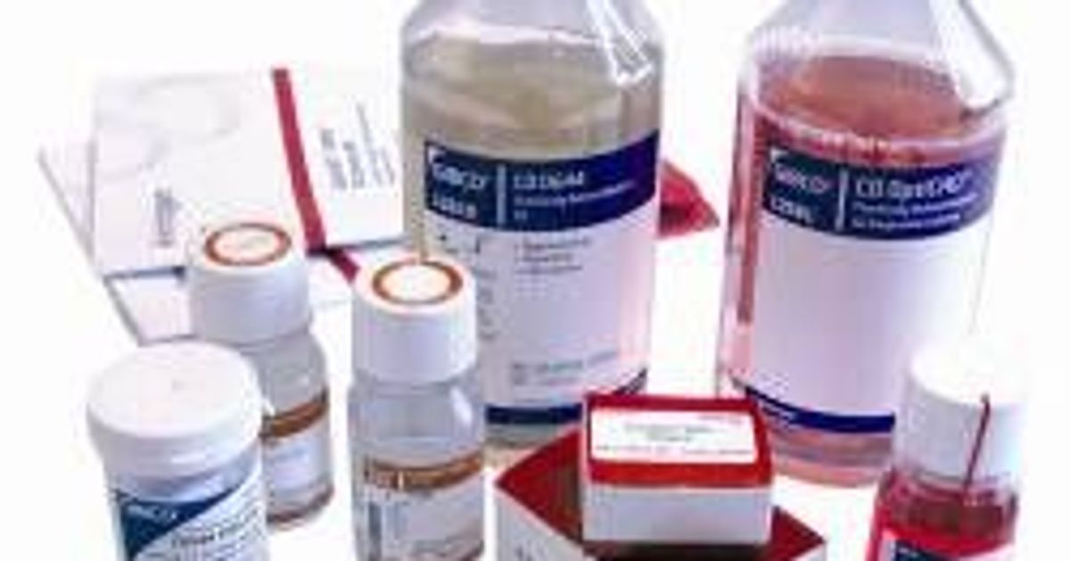 New Kit for Efficient Transfection and Growth of CHO DG44 Cells Offers ...