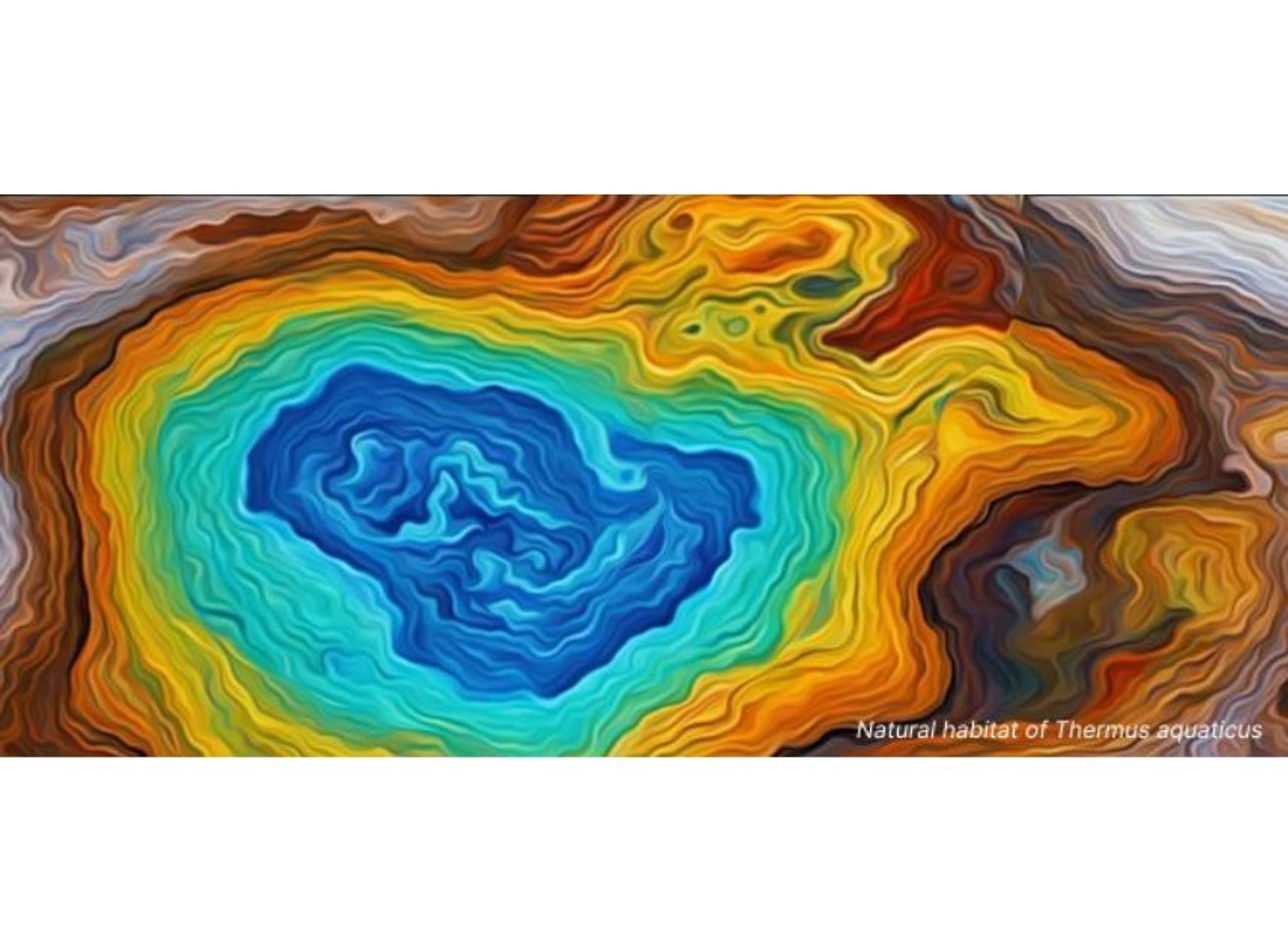 Thermo Scientific™ PageRuler™ Plus Prestained Protein Ladder, 10 to 250 kDa