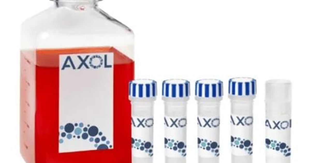 axoCells™ Human iPSC-Derived Motor Neuron Cells, Media and Supplement ...