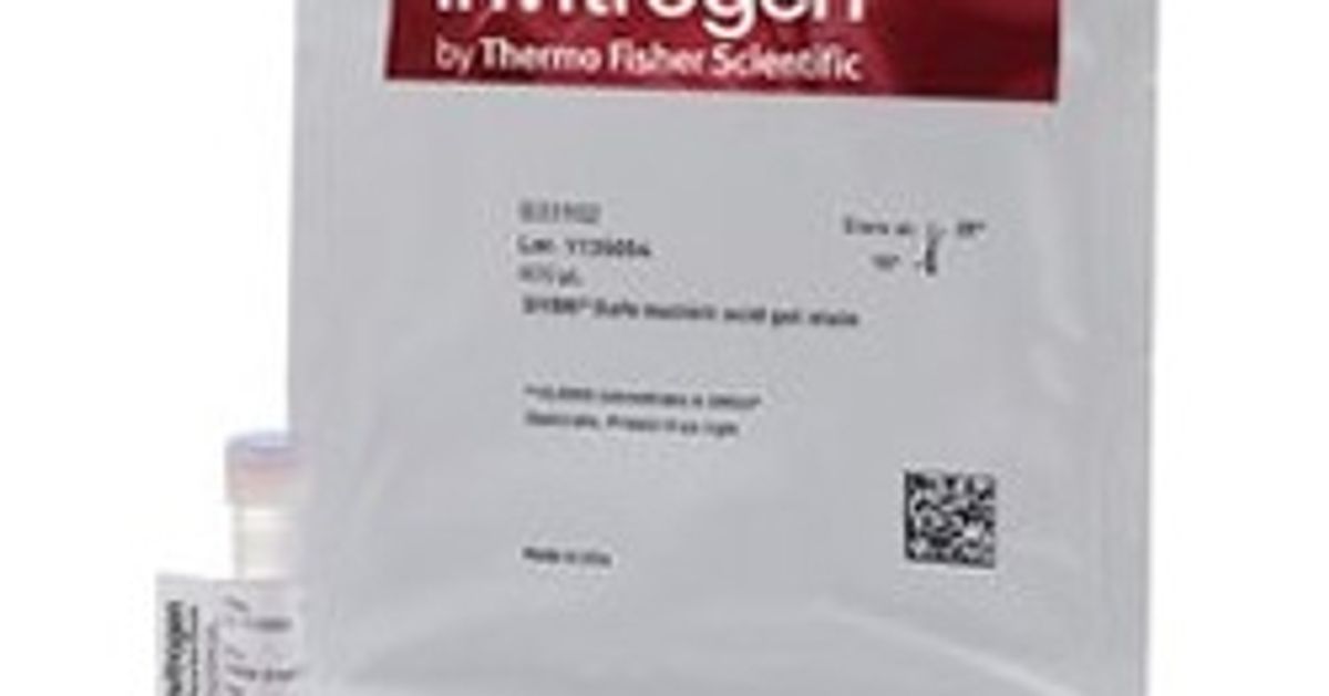 Buy SYBR™ Safe DNA Gel Stain Read Reviews