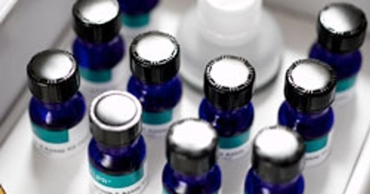 ScanLater Western Blot Assay Kit