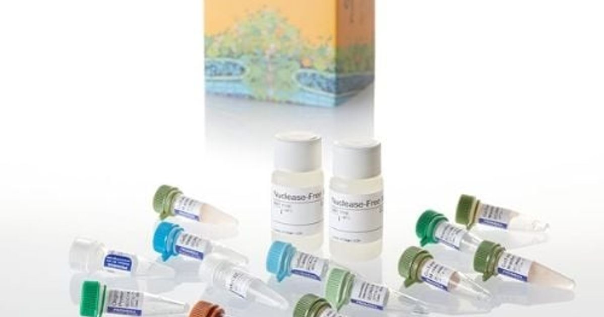 GoTaq® 2-Step RT-qPCR System