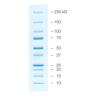 Precision Plus Protein All Blue Prestained #1610373 reviews