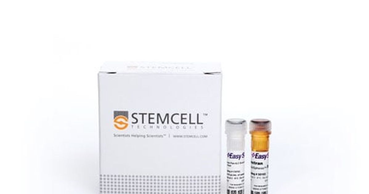 Buy EasySep™ Human Pan-ILC Enrichment Kit Read Reviews
