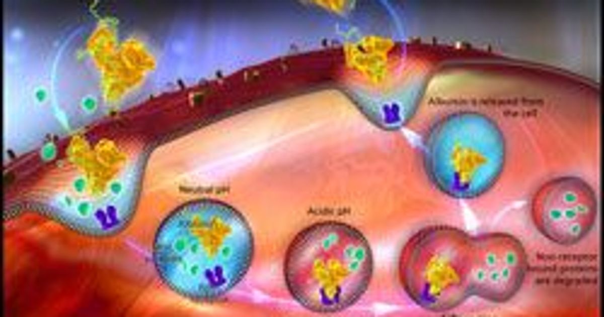 Novozymes Biopharma Collaborates with the University of Oslo to Develop ...