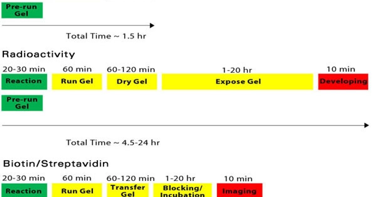 Odyssey EMSA Buffer Kit