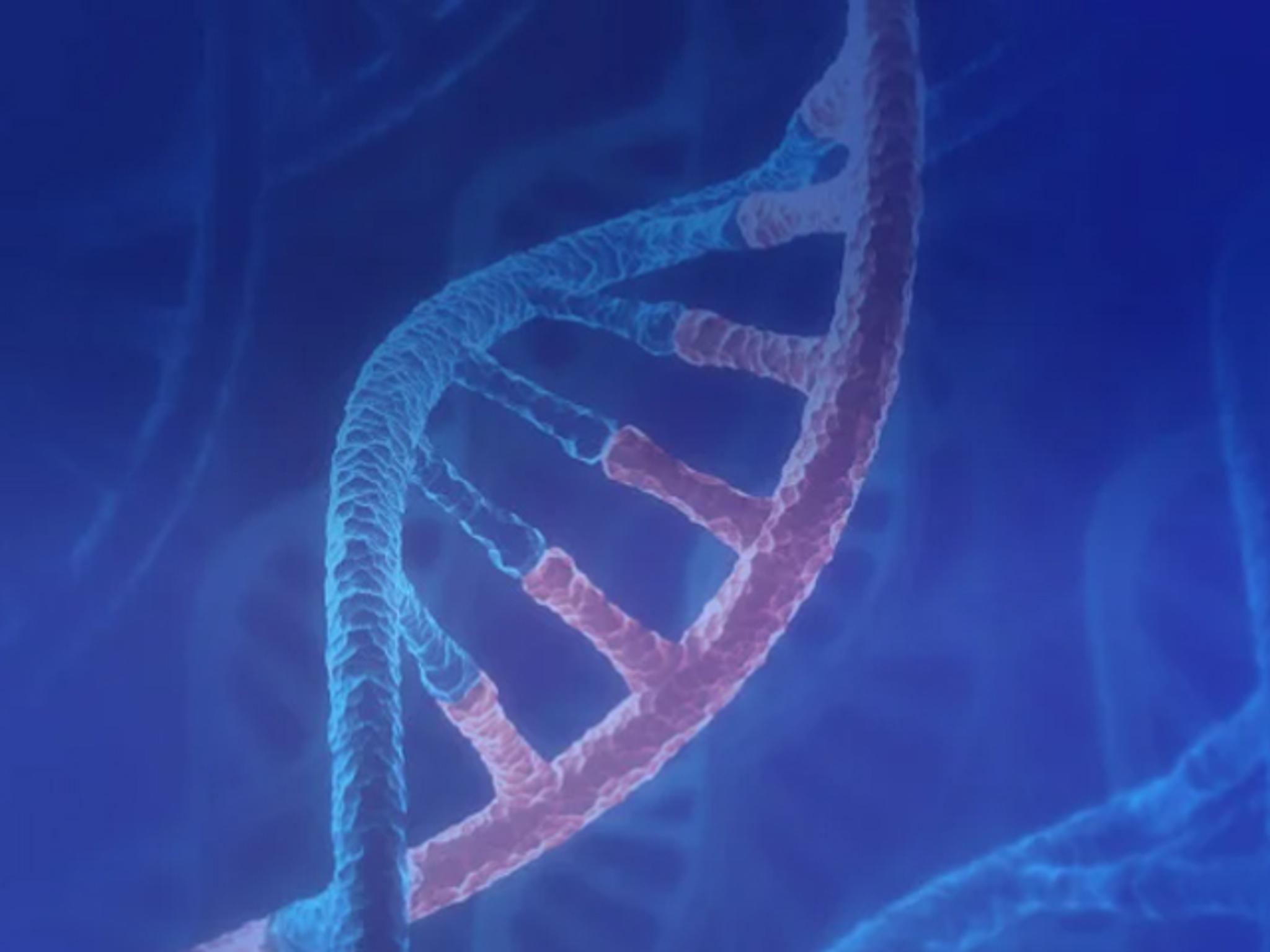 Thermo Scientific™ PageRuler™ Plus Prestained Protein Ladder, 10 to 250 kDa