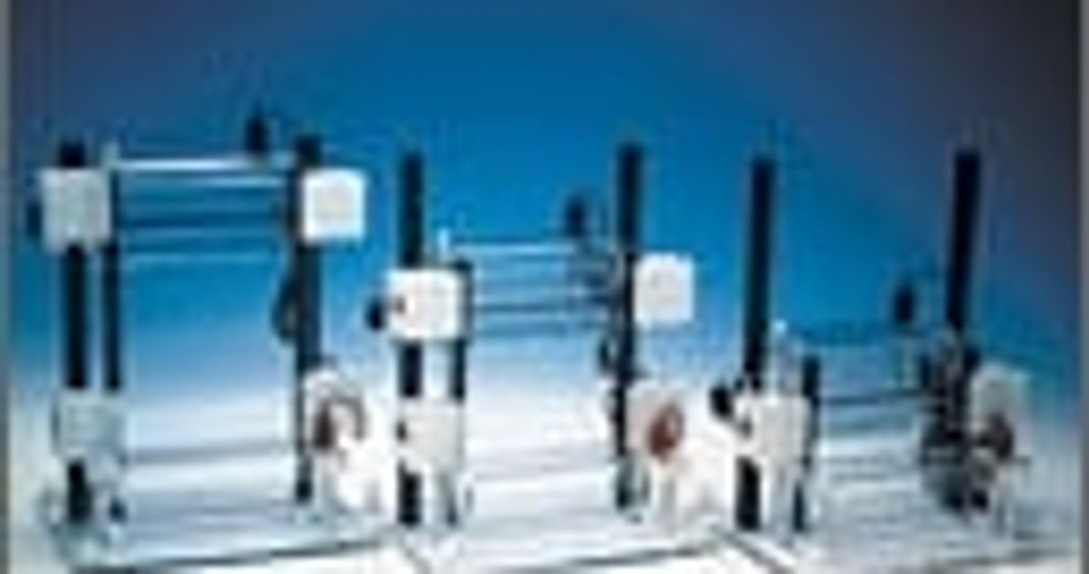 Buy 175 Adjustable Mini Vertical Gel System Read Reviews