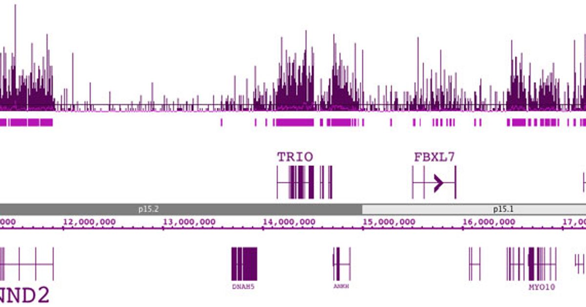 Buy hMeDIP-Sequencing (hMeDIP-Seq) Service Read Reviews