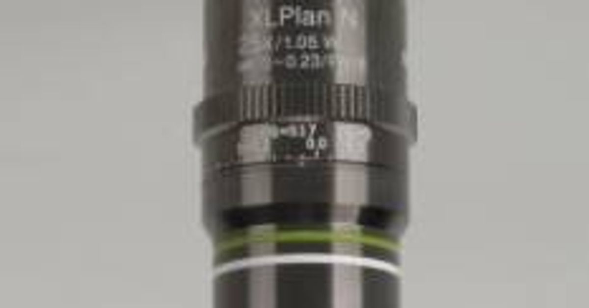 Olympus 25x NA 1.05 Water Immersion Objective Offers Unprecedented ...