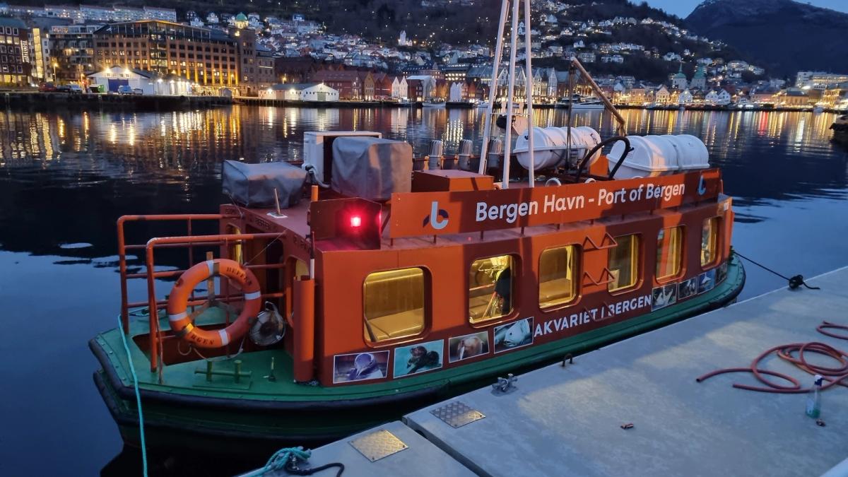 Årlig støtte til drift av Beffen