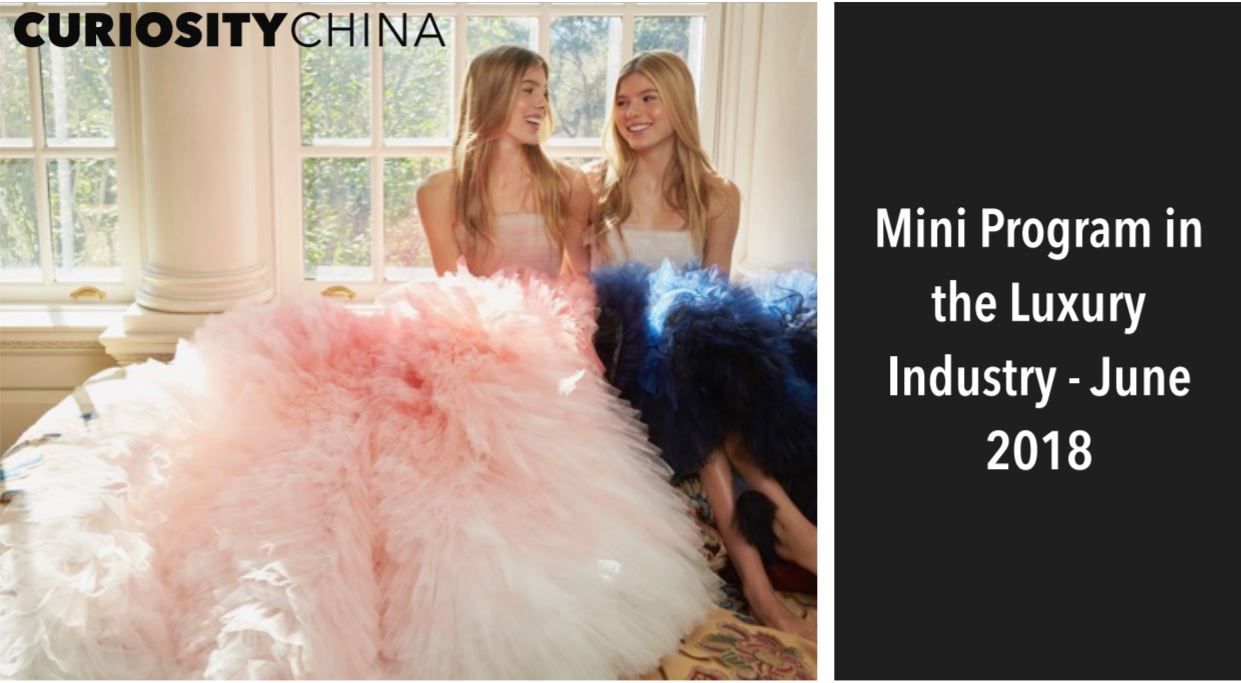 Mini Program in the Luxury Industry - June 2018 | Jing Daily