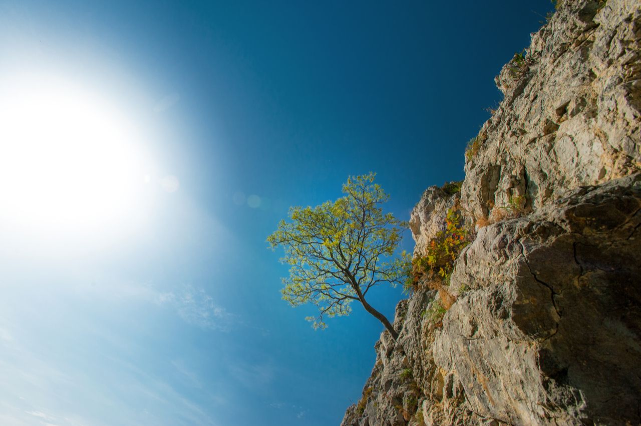 Building Brand Resilience in an Era of Hyperconsciousness | Jing Daily