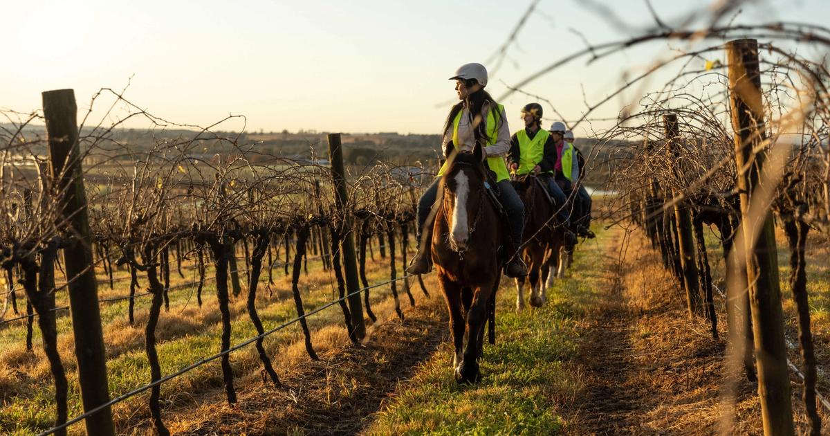 Develop | Destination NSW