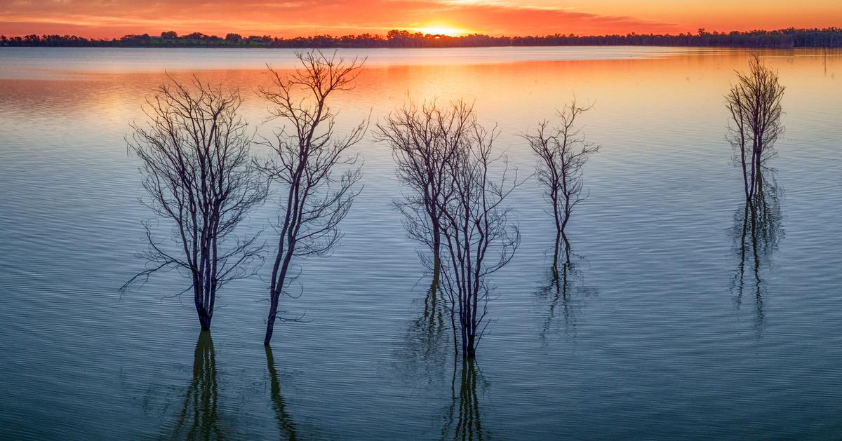 The Murray | Destination NSW