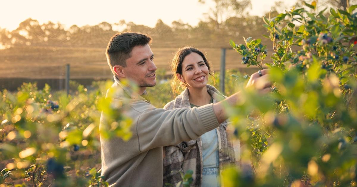 Overview | Destination NSW