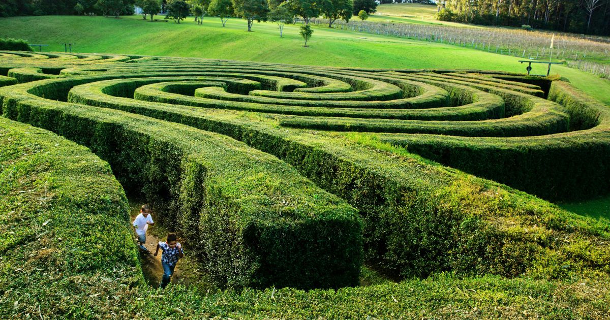 Bago Maze and Winery | Destination NSW