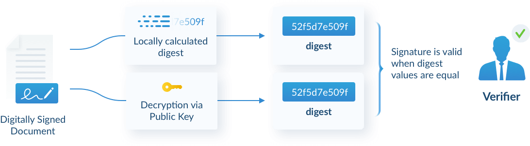 Introducing Digital Signature Verification | Apryse SDK