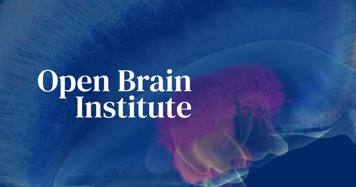 Open Brain Institute – Our mission towards brain modeling and ...