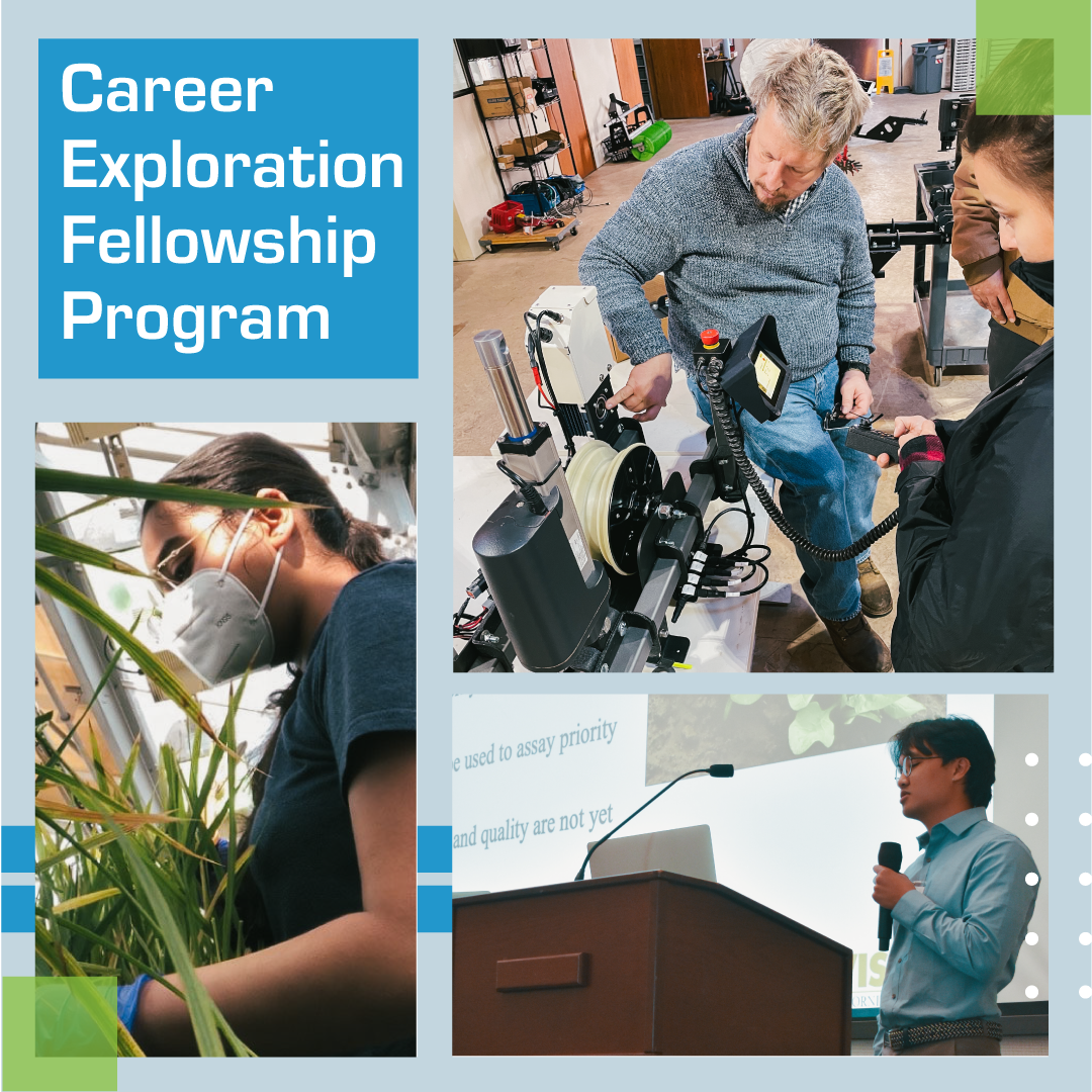 Career Exploration Fellowship | AIFS