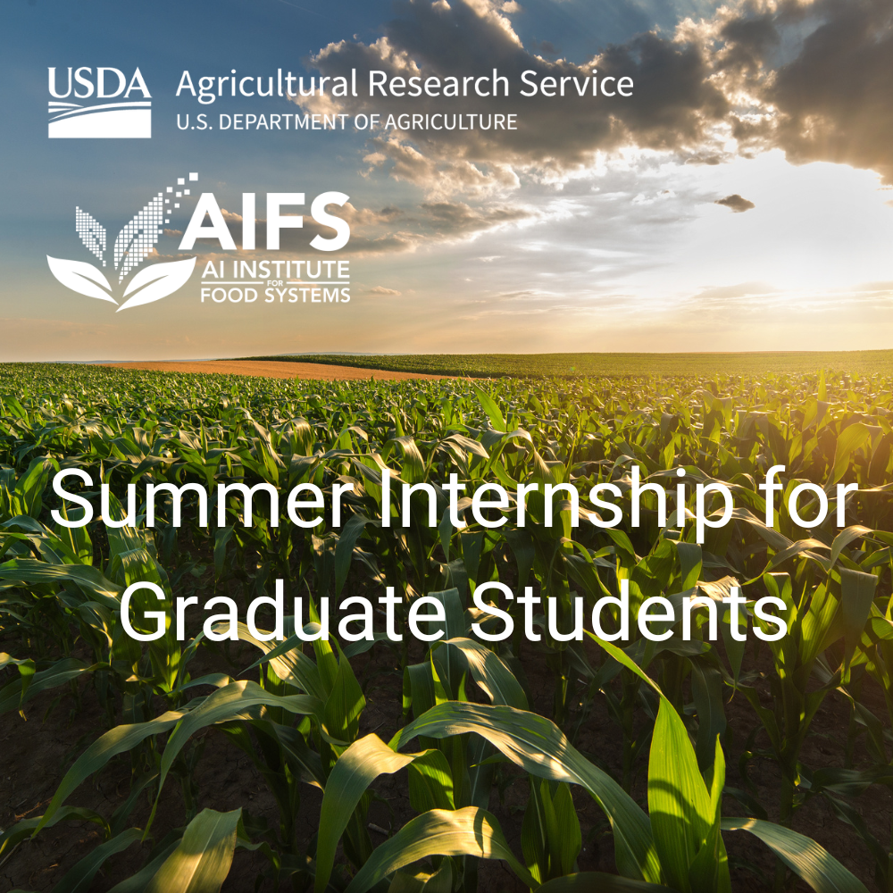 Graduate Student Internship | AIFS