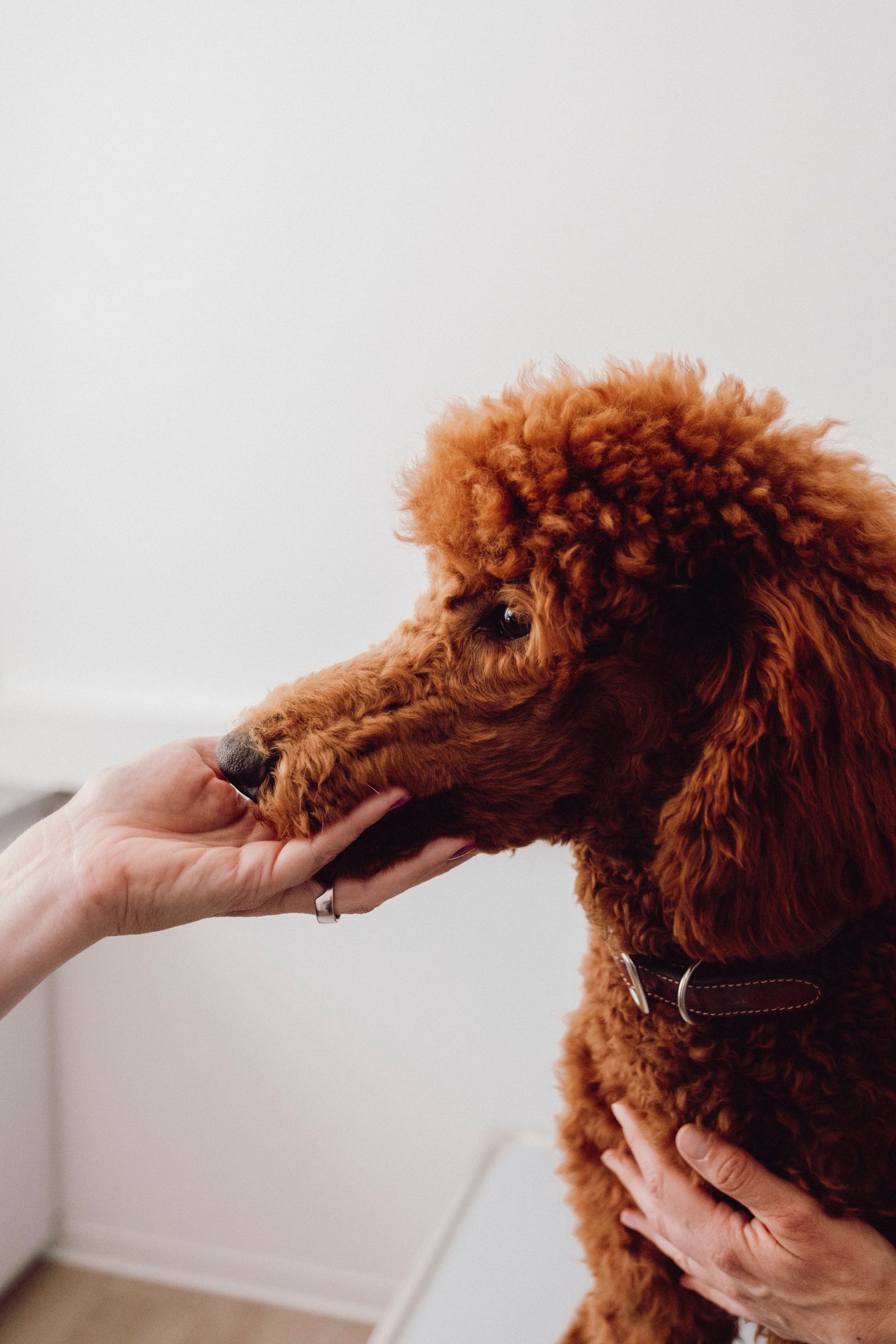 Visit | Areal Böhler