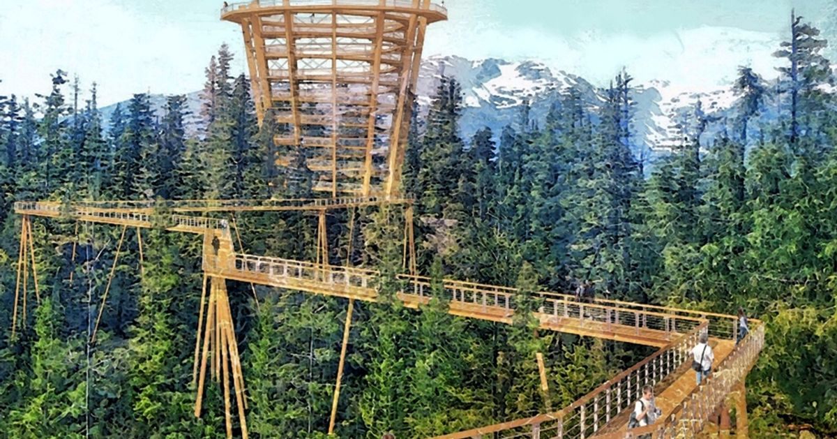 Sea to Sky Gondola Proposes New Summit Infrastructure- An Elevated Tree ...
