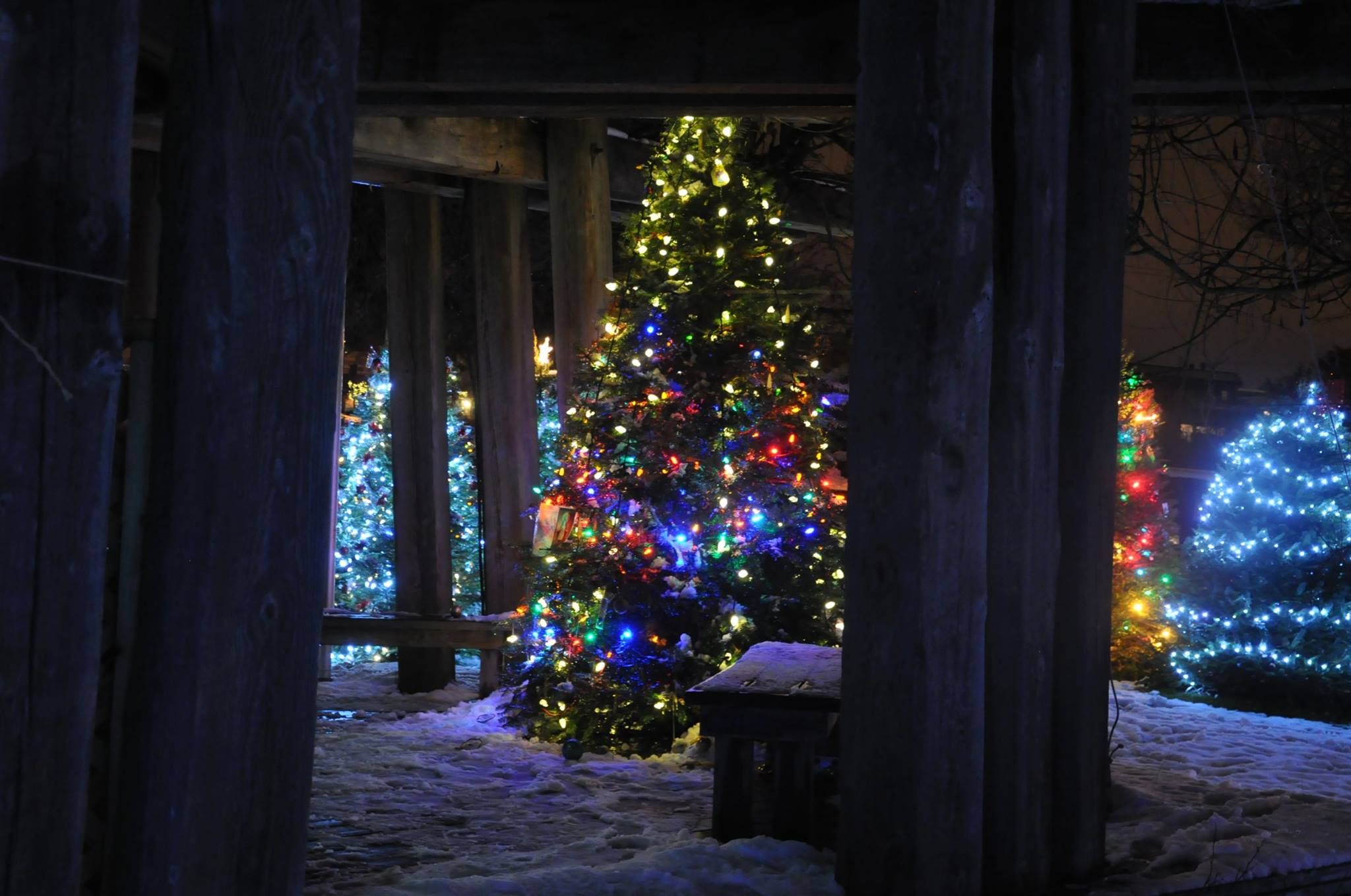 Dundarave Festival of Lights and the Forest of Miracles in West ...