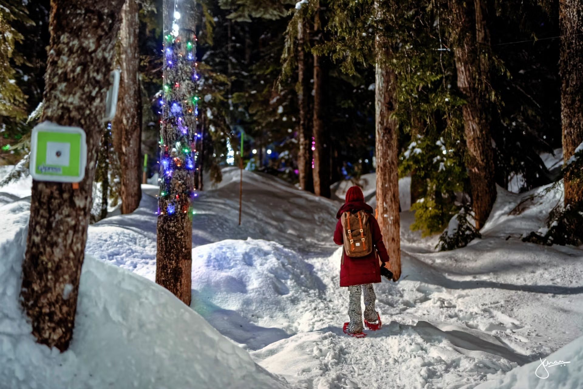 Holiday Lights Experiences Around Vancouver | Destination Vancouver