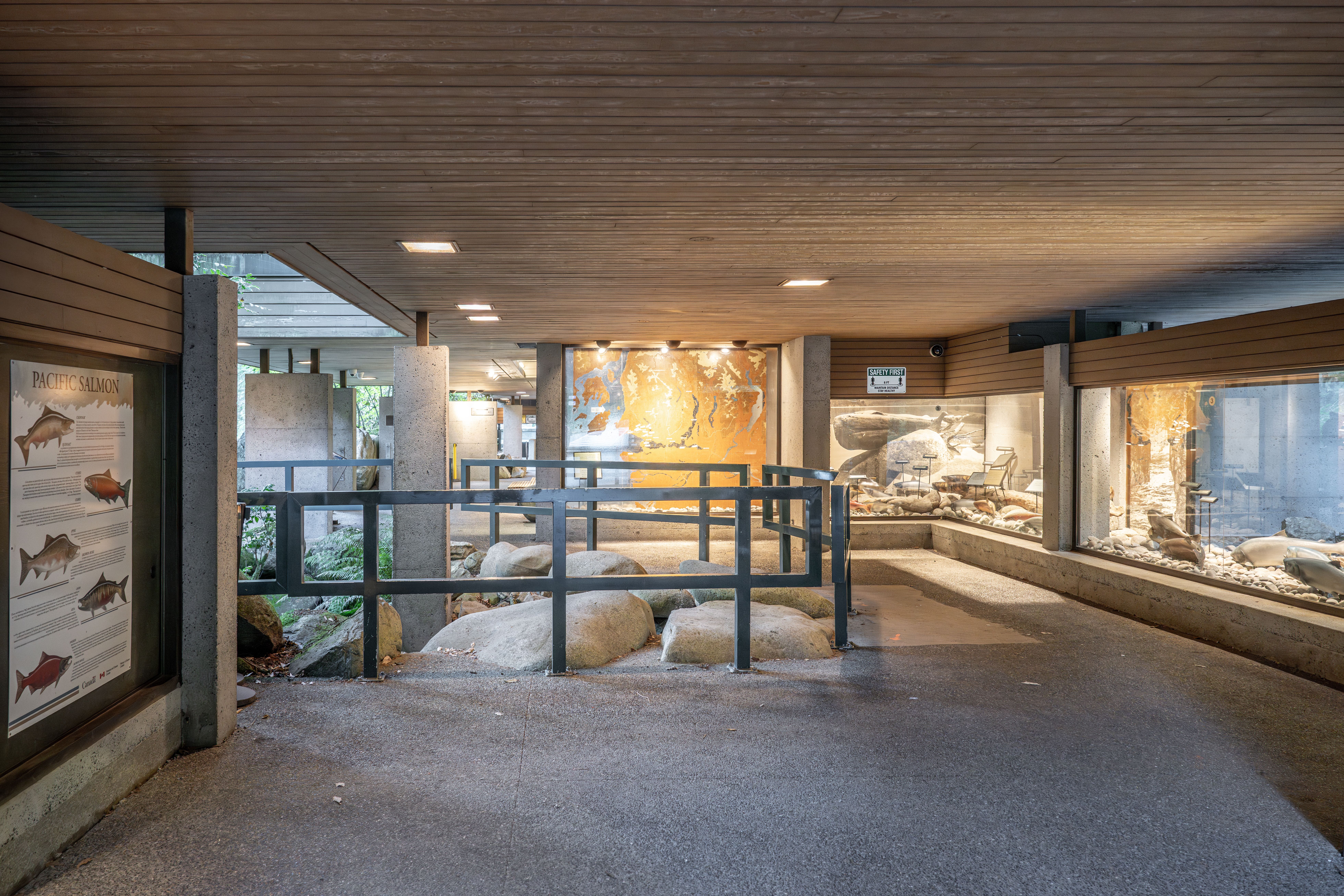 Capilano Salmon Hatchery at Capilano River Park | Destination Vancouver