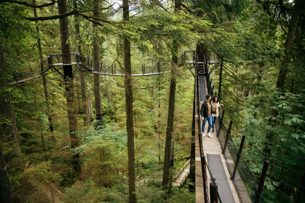 Capilano Suspension Bridge Park | Destination Vancouver