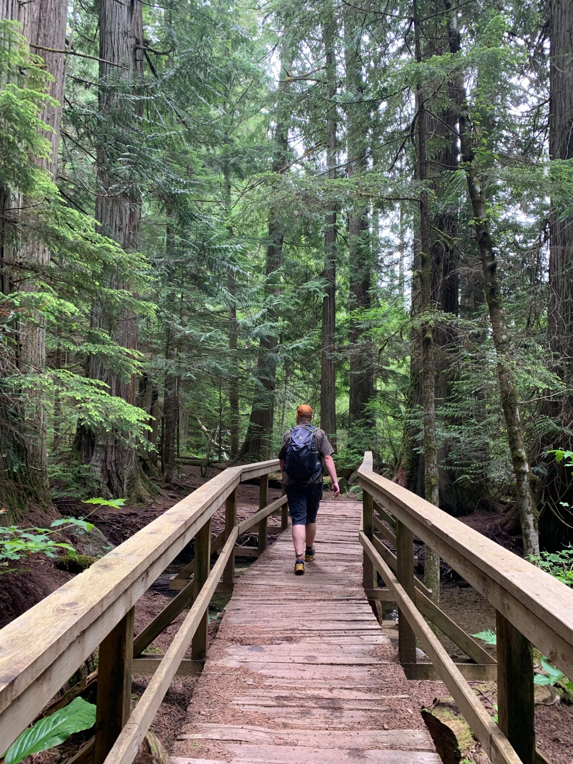 October 2022 Vancouver Area Hike of the Month: Brohm Lake | Destination ...