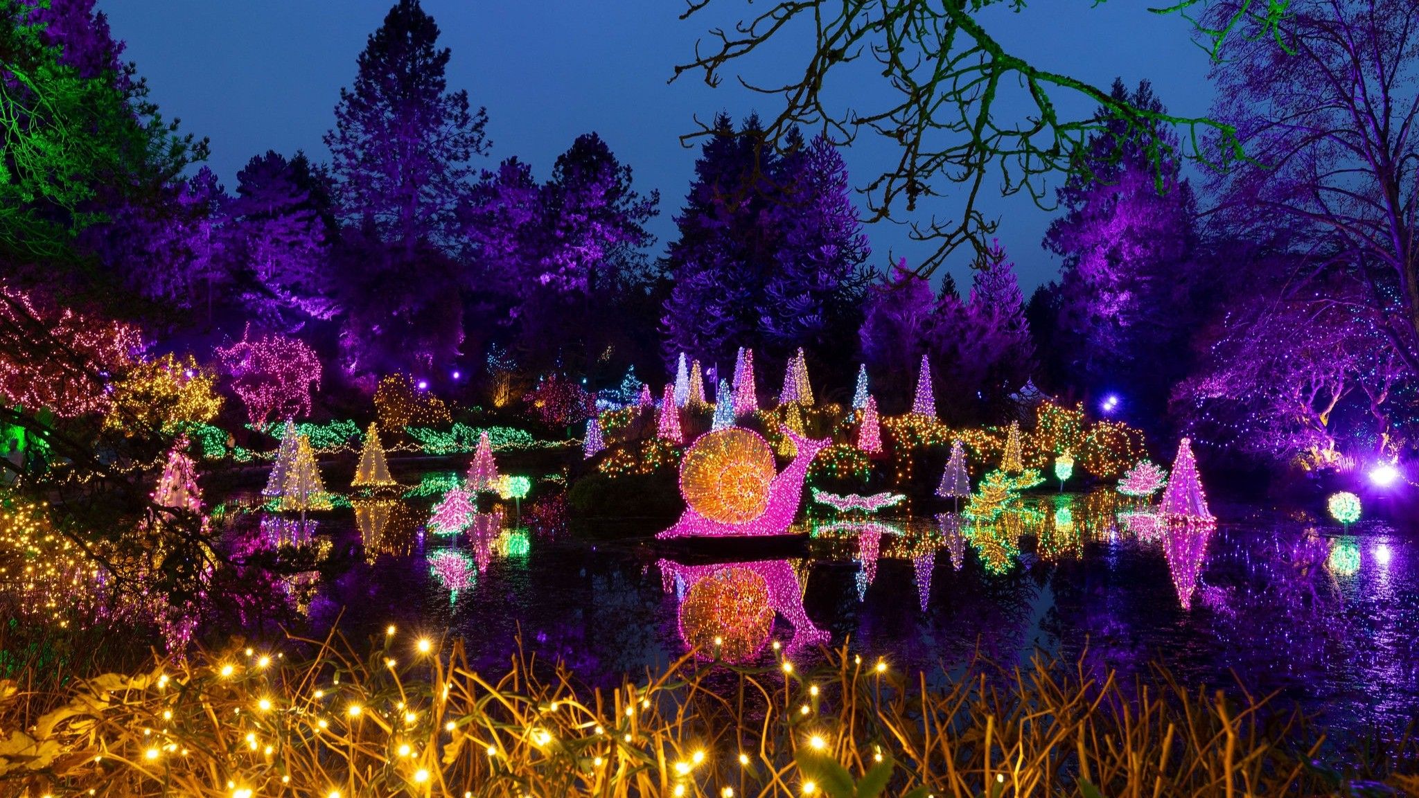VanDusen Festival of Lights Destination Vancouver