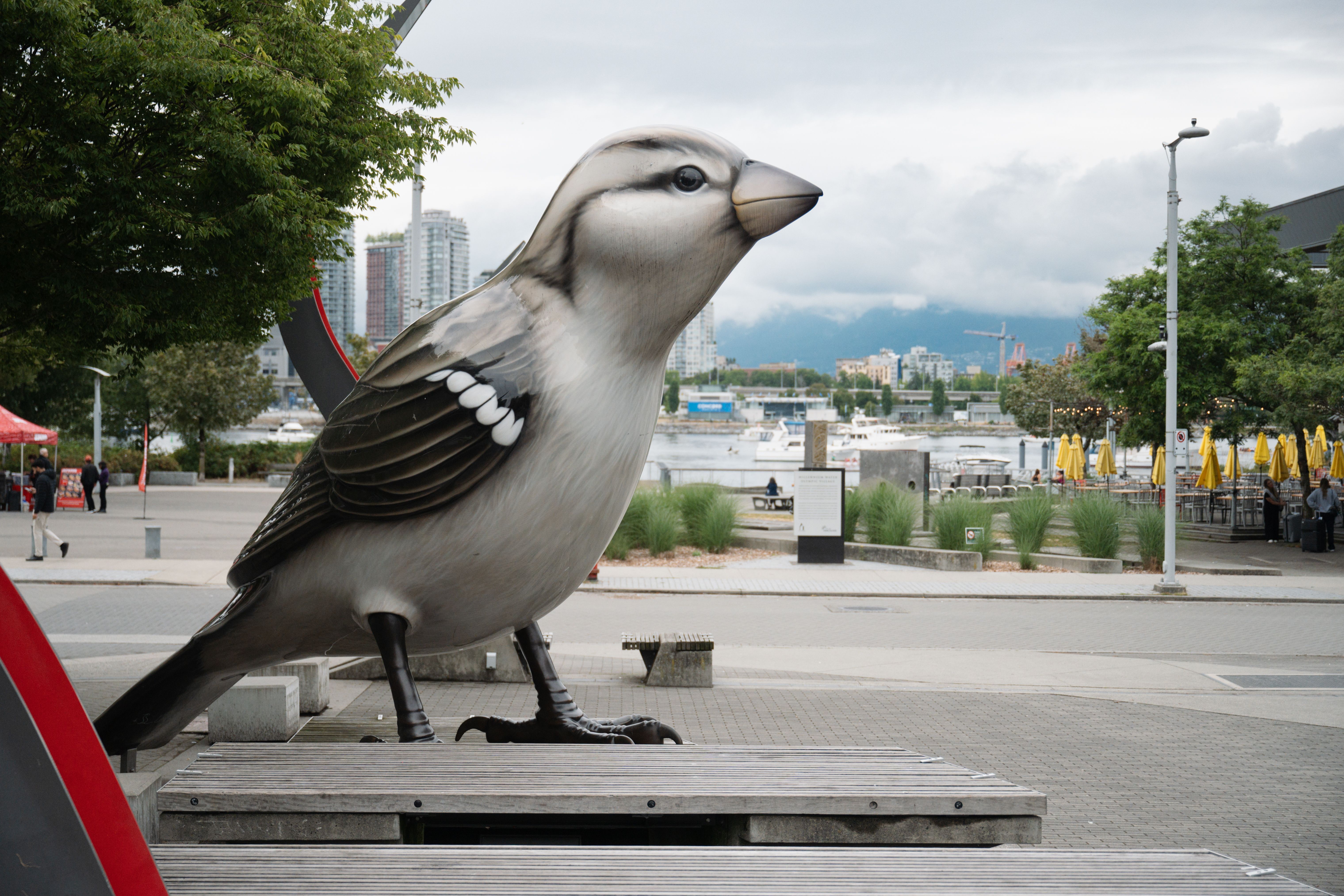 Big Birds at Olympic Village | Destination Vancouver