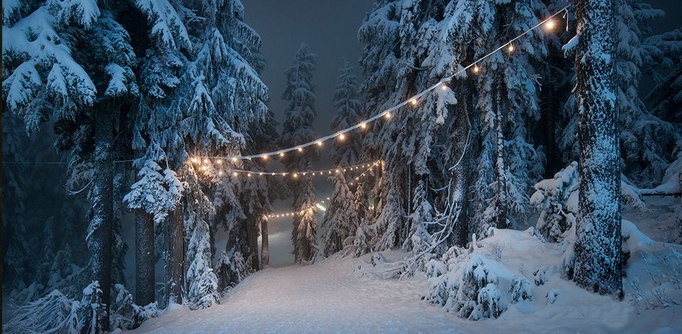 Holiday Lights Experiences Around Vancouver | Destination Vancouver