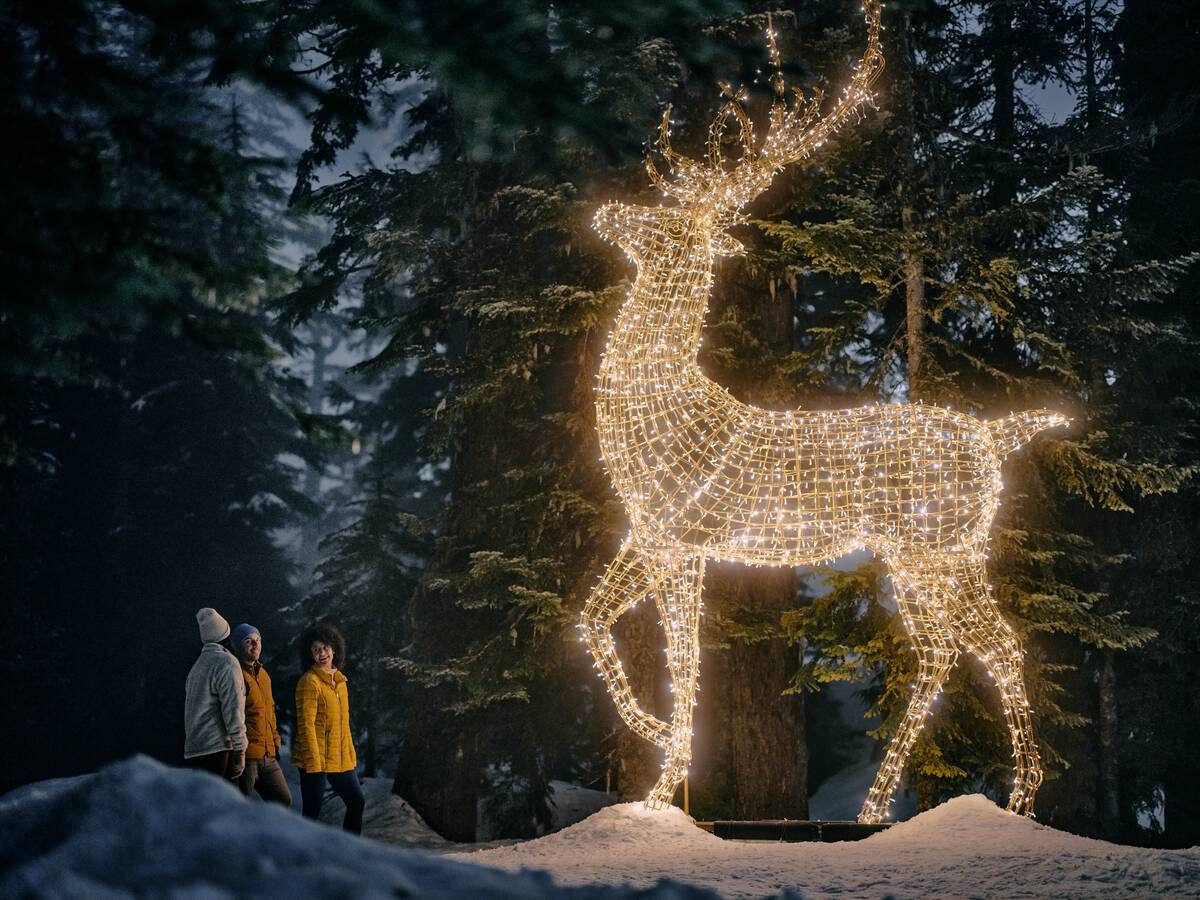 8 Unique Snowshoe Experiences Around Vancouver | Destination Vancouver