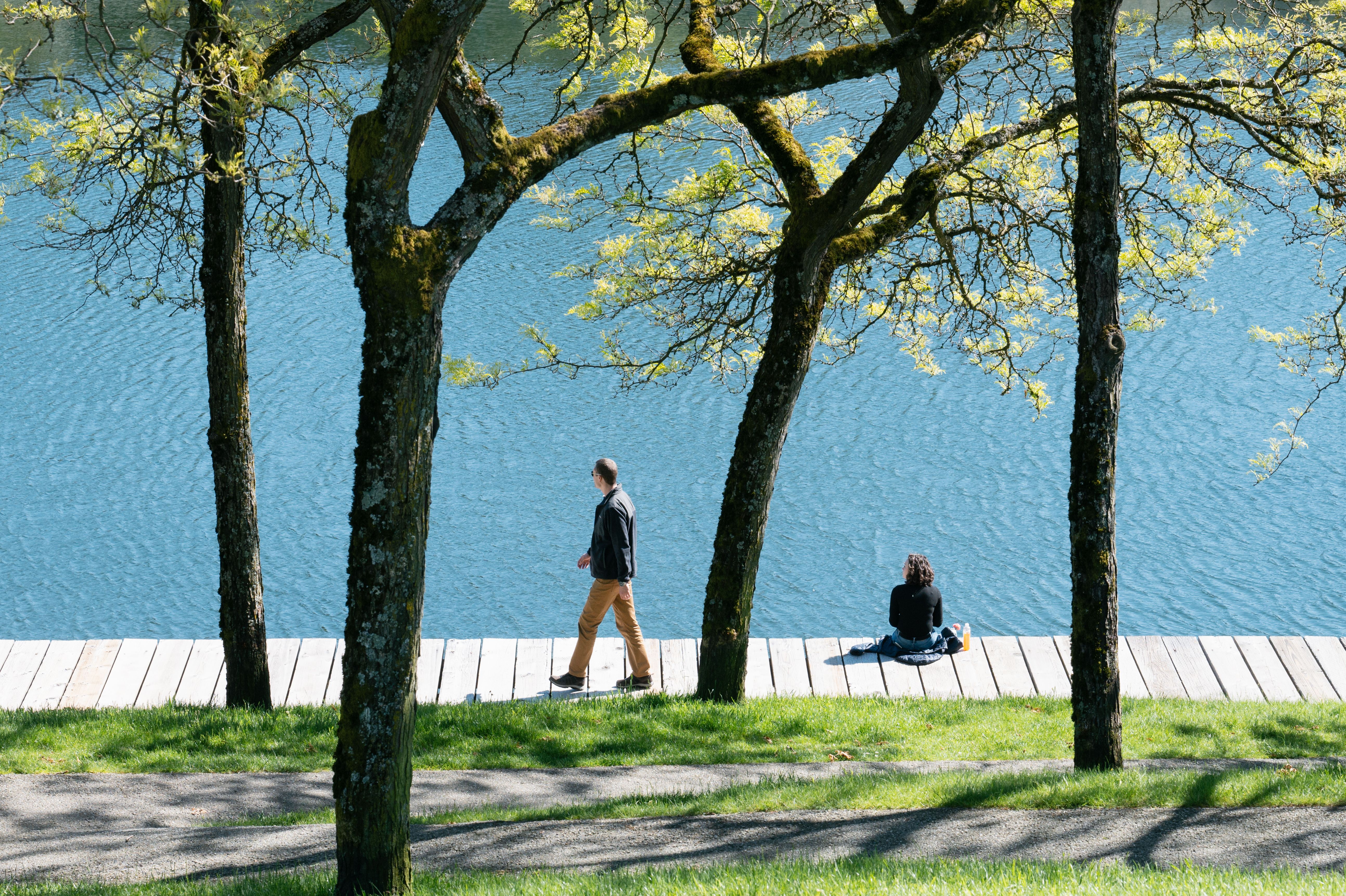 Ron Bashford Park and Ampitheatre | Destination Vancouver