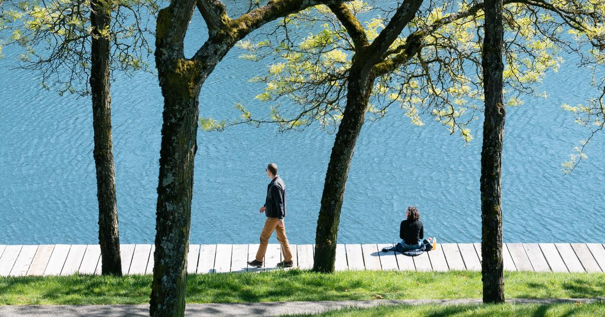 Ron Bashford Park and Ampitheatre | Destination Vancouver