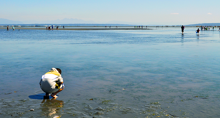 7 Things To Do at Boundary Bay Regional Park | Destination Vancouver
