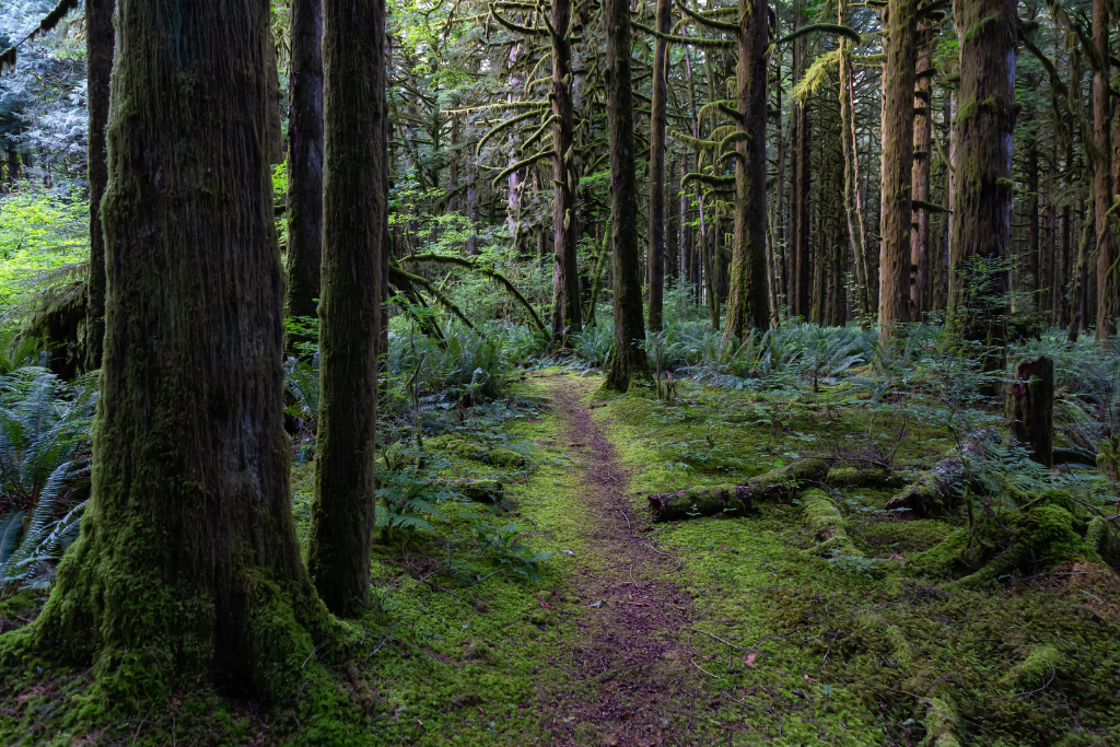 7 Things to Do at Golden Ears Provincial Park | Destination Vancouver