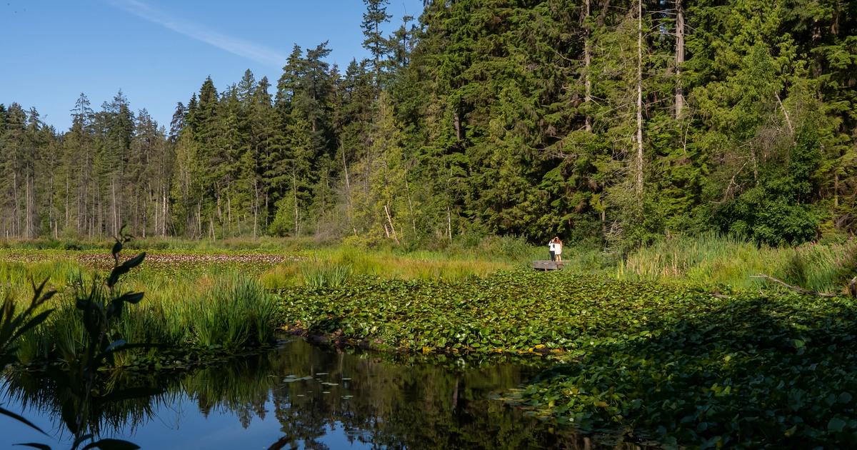 Beaver Lake | Destination Vancouver