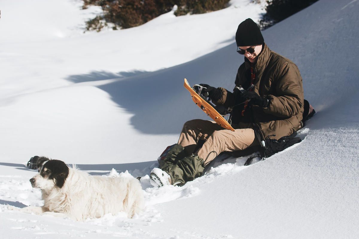 6 Dog-Friendly Places to Snowshoe Near Vancouver | Destination Vancouver